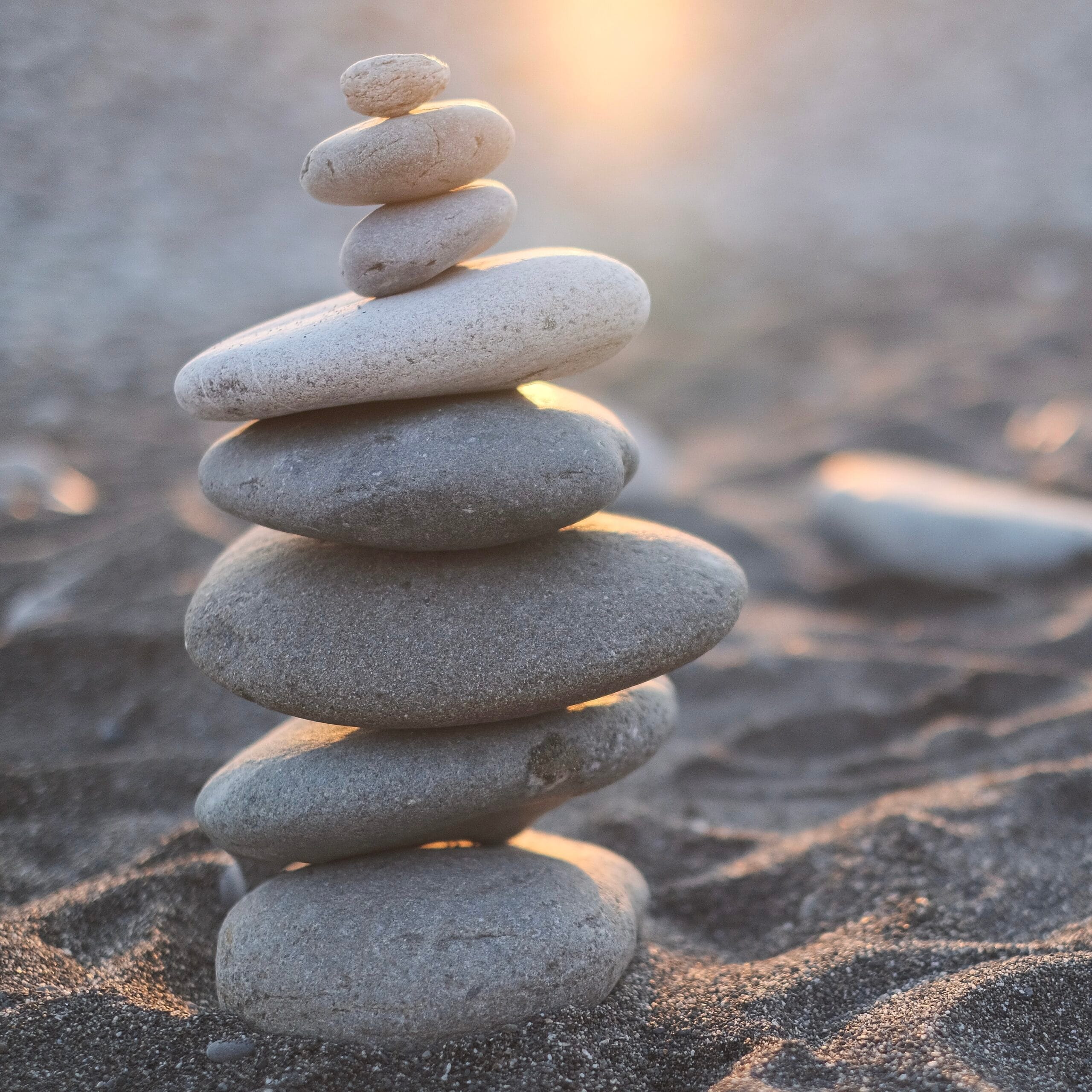 Richard Schwartz: Our Multiple Selves | The Pocket Project