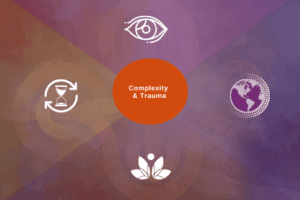 Collective Trauma Research | The Pocket Project