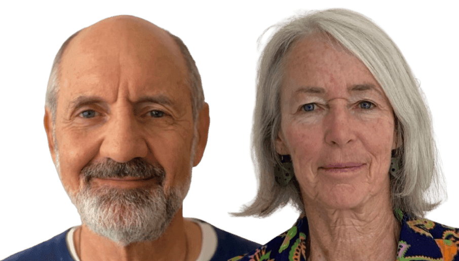 Global Social Witnessing Training | The Pocket Project